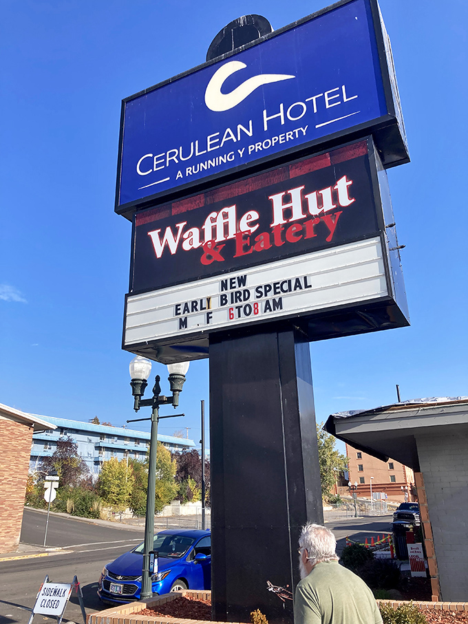 The sign beckons like a lighthouse for the hungry. That Early Bird Special is nature's way of rewarding those who rise with the roosters.