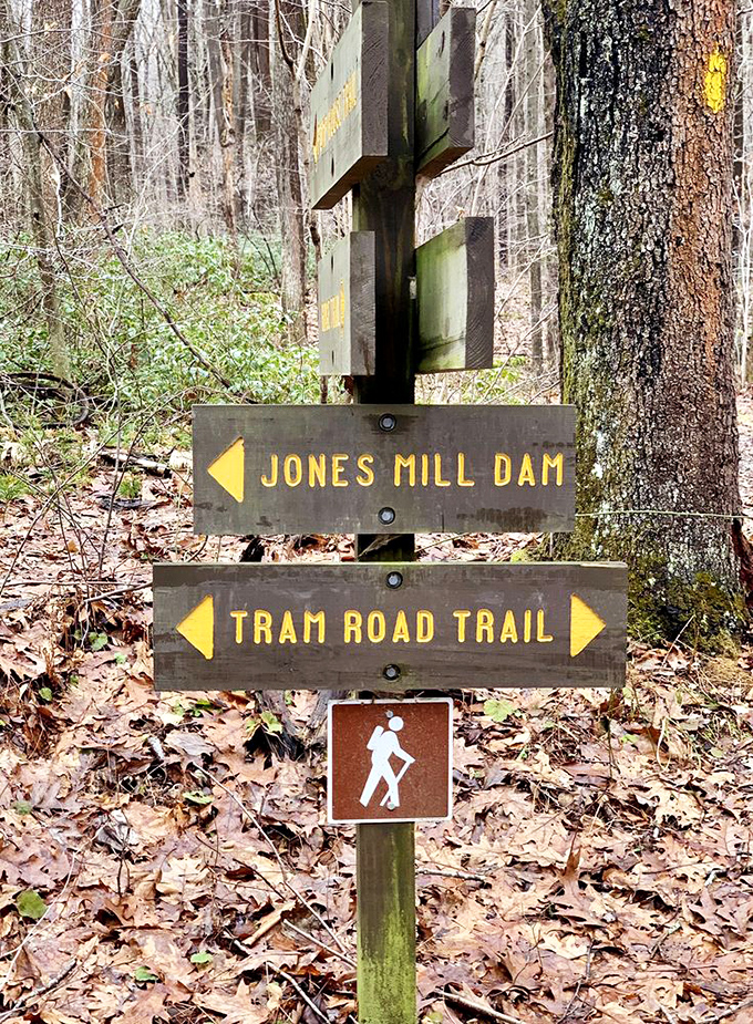 Trail markers point the way to adventure, standing as silent guides that have witnessed countless "are we there yet?" conversations.