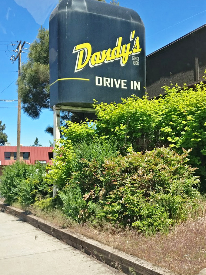 The classic Dandy's sign stands proudly, a beacon for burger pilgrims seeking their next delicious life-changing experience.