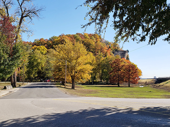 Nature's autumn symphony plays out in gold and amber notes along the bluffs, creating a backdrop worthy of a Wyeth painting.