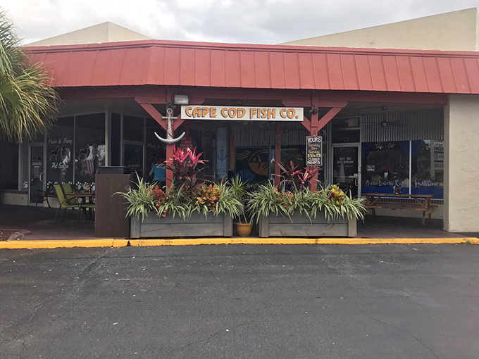 The storefront's tropical landscaping adds Florida flair to this authentic New England seafood experience.