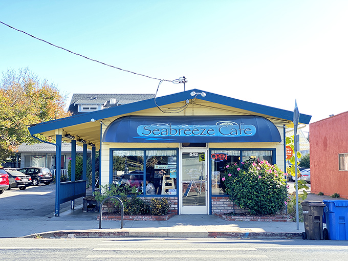 A beacon of breakfast brilliance on Seabright Avenue. The cheerful blue and yellow exterior stands out like a delicious landmark in this Santa Cruz neighborhood.