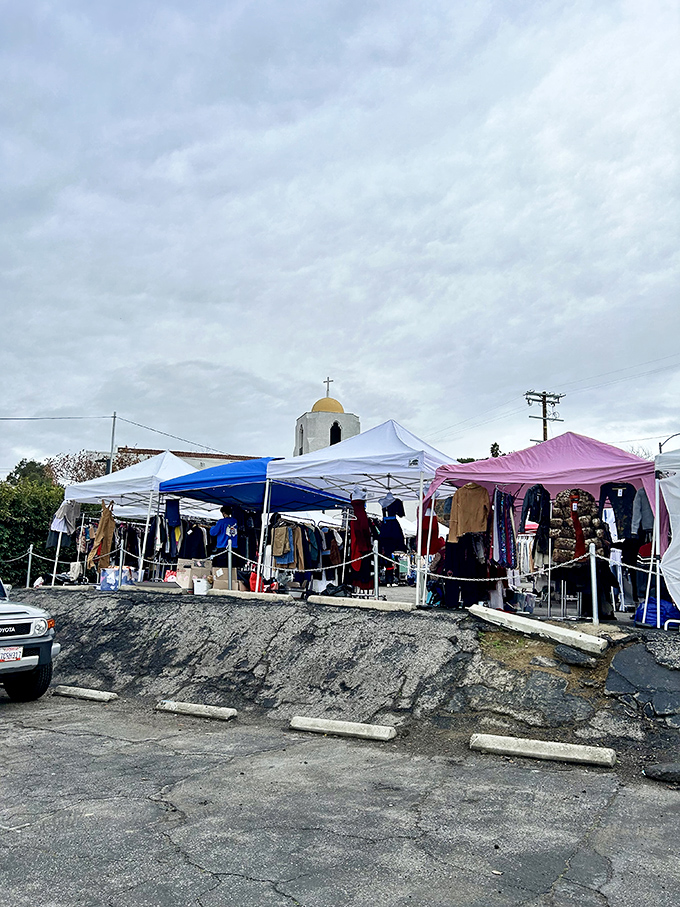 Even on overcast days, the market's colorful canopies create a festive atmosphere where shopping feels more like a social event.