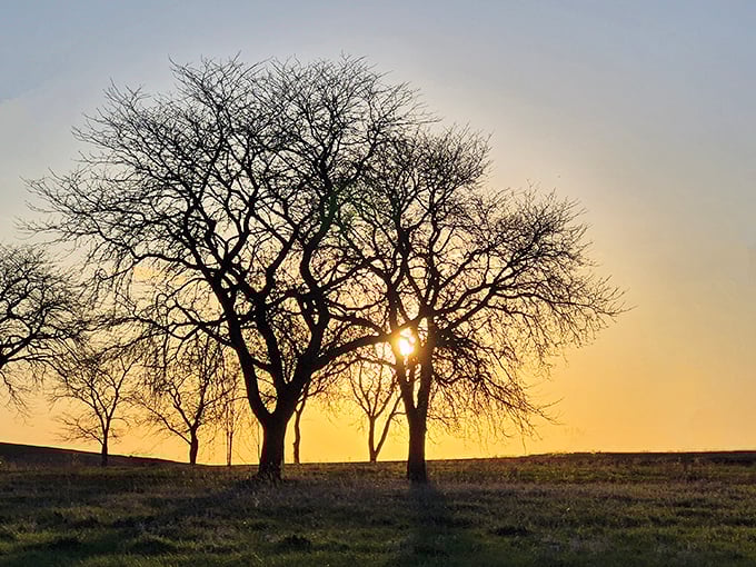 As the sun plays hide-and-seek through bare branches, Aztalan reveals its most photogenic side during the golden hour.