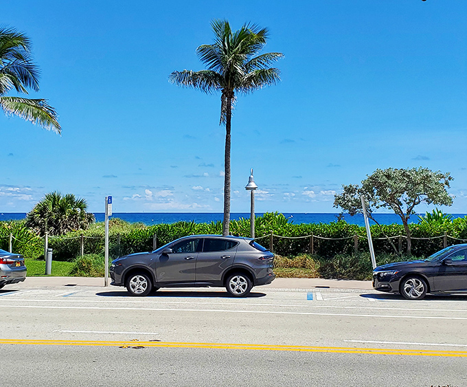 Just steps away, the Atlantic provides the backdrop that reminds you why seafood tastes better when you can see where it came from.