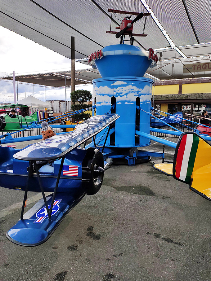 Childhood joy in airplane form! This kiddie ride proves the flea market isn't just about shopping&mdash;it's a full family entertainment destination.