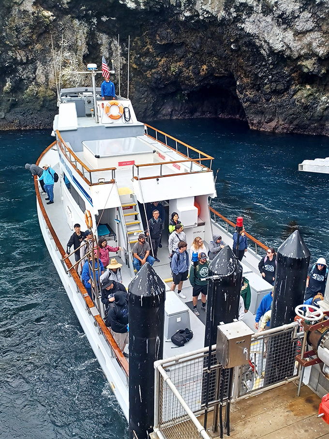 Fellow adventurers gather on the boat, all sharing that "we're really doing this" excitement.