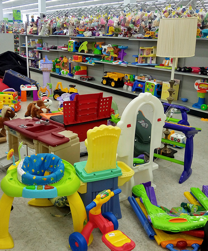 Toy Story, the thrift store edition. These gently-loved playthings are ready for their sequel with a new child and fresh adventures.