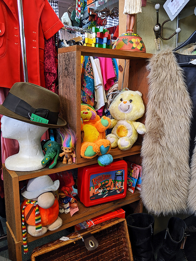 Childhood memories line these shelves&mdash;from Care Bears to fedoras. One person's forgotten toy is another's nostalgic treasure.