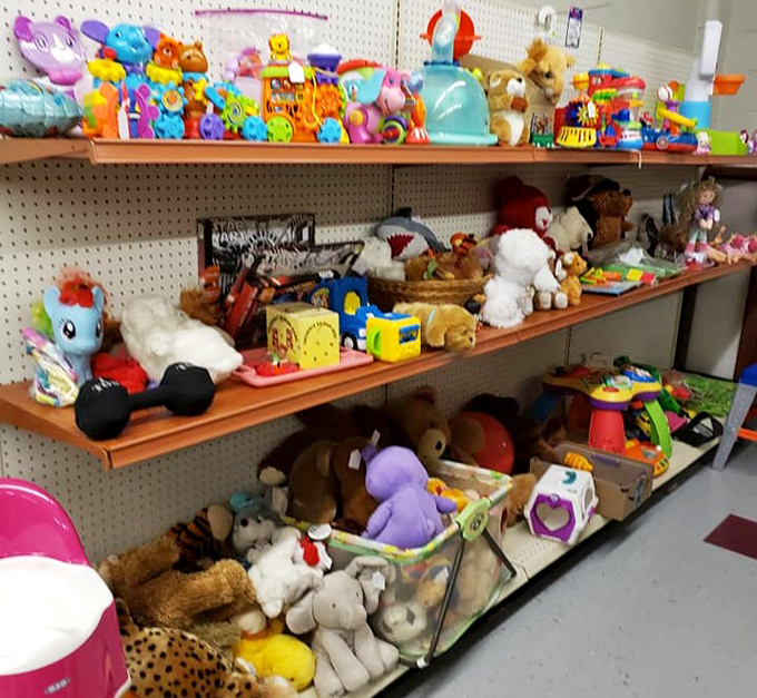 Childhood nostalgia by the shelf-full. Stuffed animals and plastic playthings waiting for second chances with new little hands.