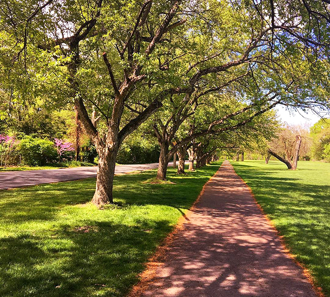 A tree-lined pathway beckons visitors deeper into the garden, promising discoveries around every gentle curve.
