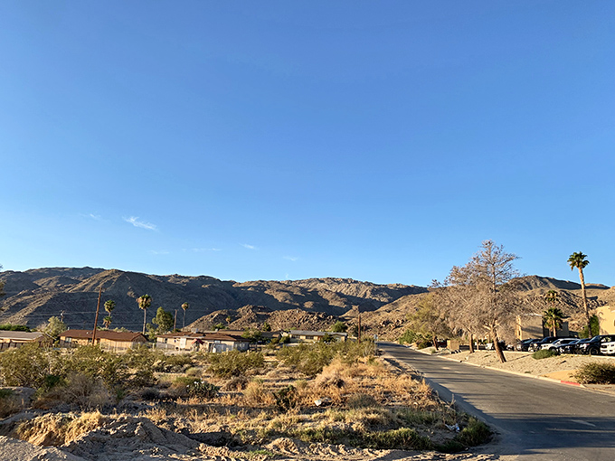 Residential streets wind through the desert terrain, where yards are measured in cacti rather than grass that needs mowing.