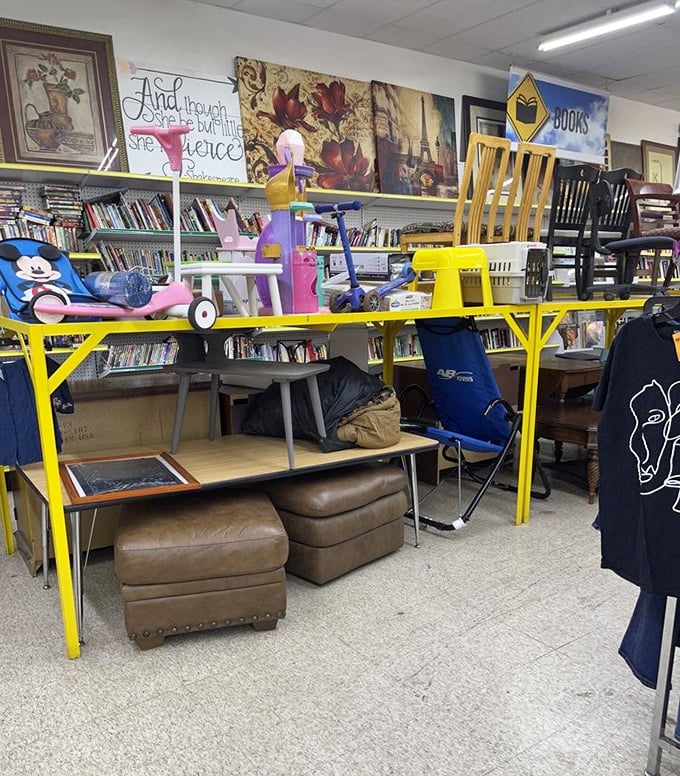 Literary treasures and forgotten toys share shelf space in this corner where childhood memories and adult reading lists collide.