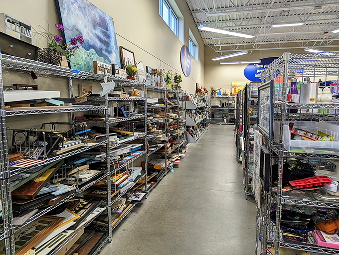The miscellaneous aisle &ndash; where office supplies, craft materials, and unidentifiable gadgets create a scavenger hunt for the curious shopper.