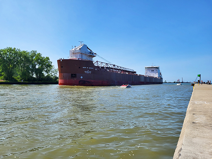 These massive vessels passing through Fairport Harbor remind visitors of Lake Erie's vital role as a commercial waterway connecting America's heartland to the world.
