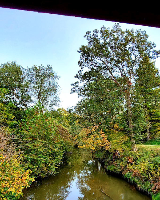 A quiet view from the covered bridge shows lush green trees and soft water, offering a perfect peaceful escape.