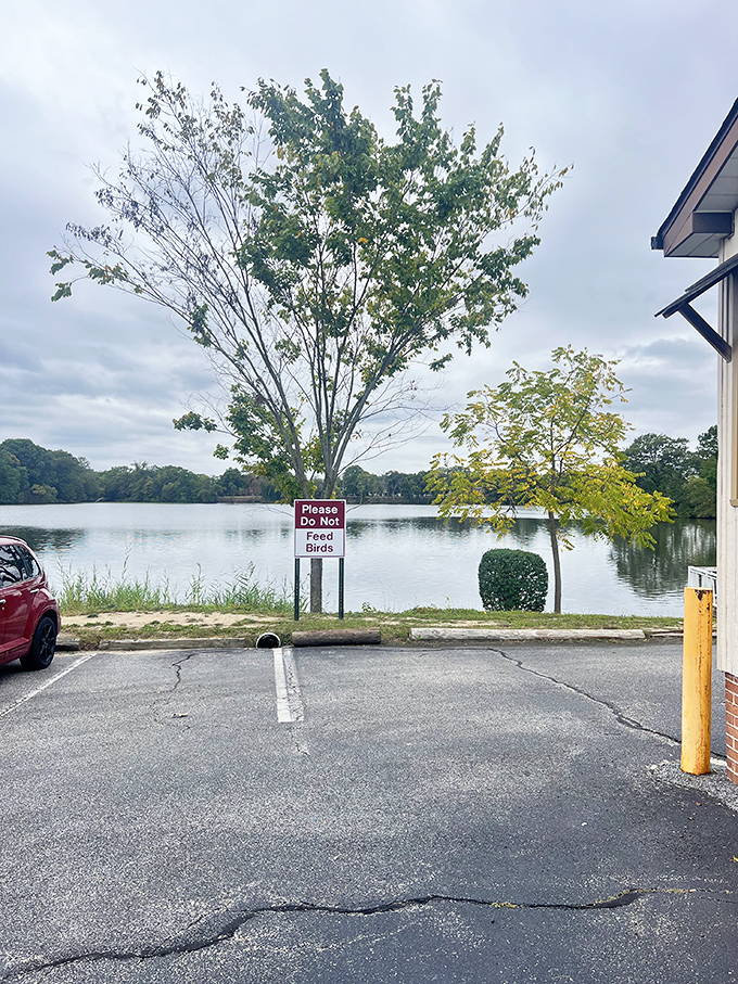 Waterfront views that come as a surprise bonus with your meal. Nature's own dinner theater just outside the window.