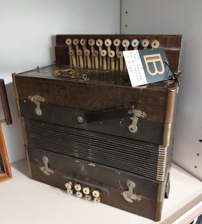 This weathered accordion has squeezed out polkas and folk tunes at countless family gatherings, its keys worn by joyful fingers.
