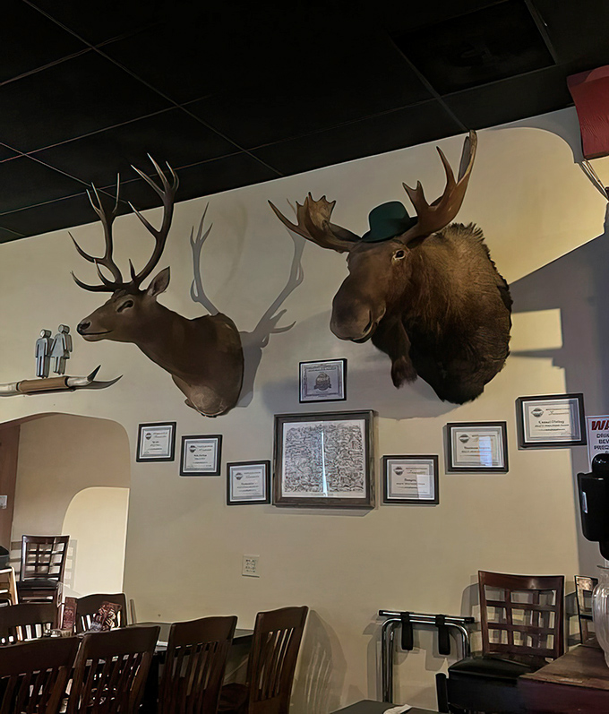 Those mounted trophies aren't just decoration&mdash;they're silent witnesses to countless celebrations, first dates, and "I'm-too-full-but-let's-see-the-dessert-menu-anyway" moments.