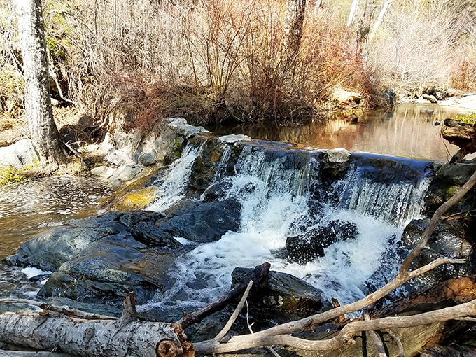 Water tumbles over ancient rocks in a timeless dance. Nature's soundtrack here outperforms any meditation app you've downloaded.