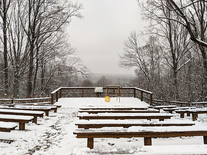 Winter transforms familiar viewpoints into contemplative snow-covered sanctuaries where silence becomes the main attraction.
