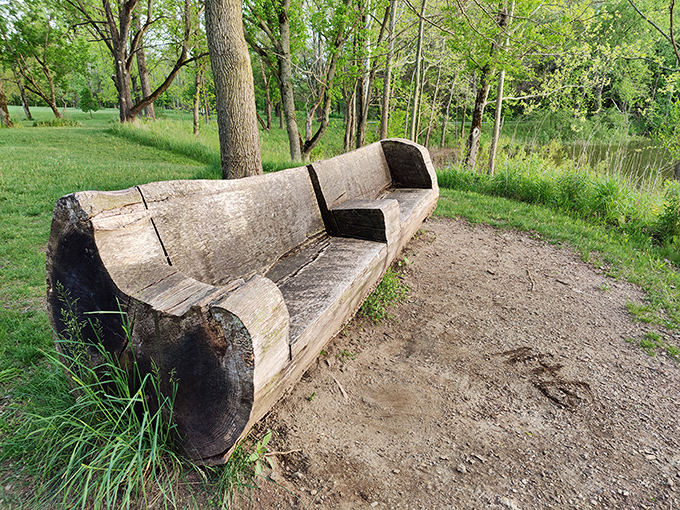 Nature's own sofa, carved from a single log. This rustic bench offers a moment of rest with a view that beats any living room.