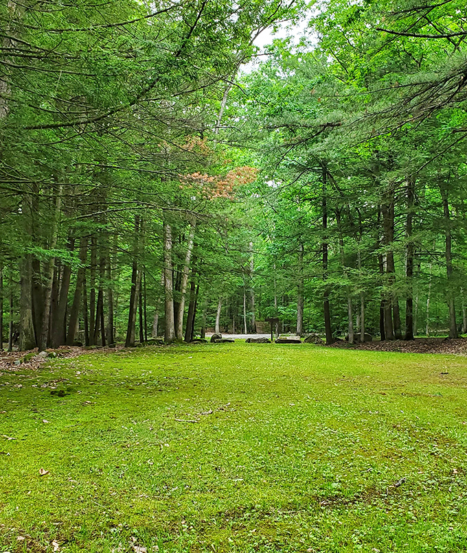 This verdant cathedral of trees creates a natural sanctuary where the only notification you'll receive is the occasional bird call.