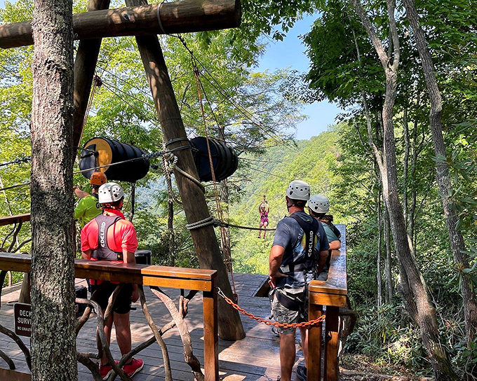 The zipline course offers a squirrel's-eye view of the forest canopy. Screaming is optional but highly recommended for the full experience.