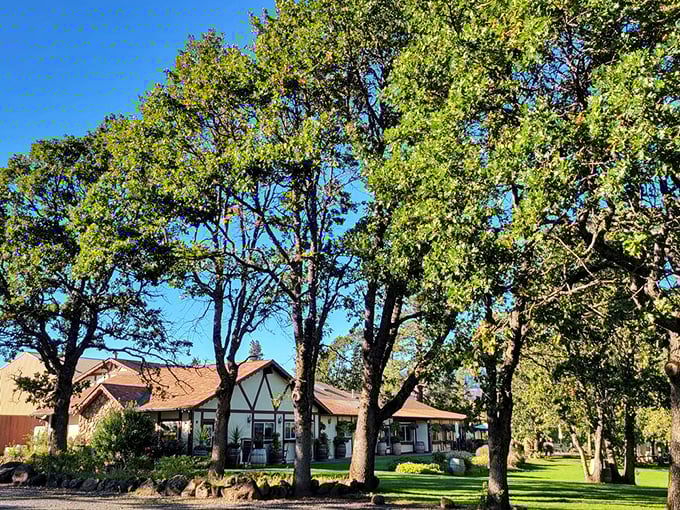 Charming Tudor-style winery nestled among towering oaks creates perfect English countryside vibes in Oregon.