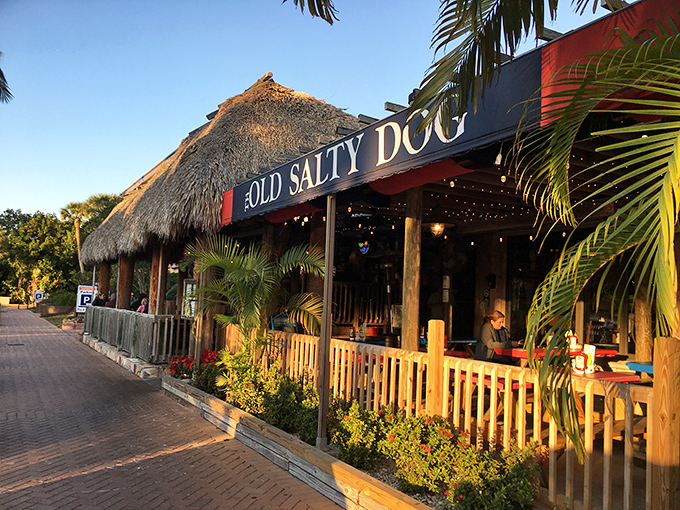 The Old Salty Dog's thatched roof and wooden fence create the perfect tropical backdrop for seafood feasting.
