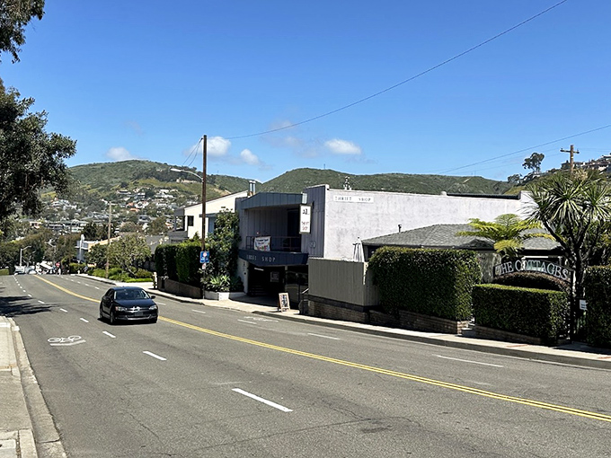 The architectural style says mid-century modern, but the prices inside say "21st-century bargain bonanza."