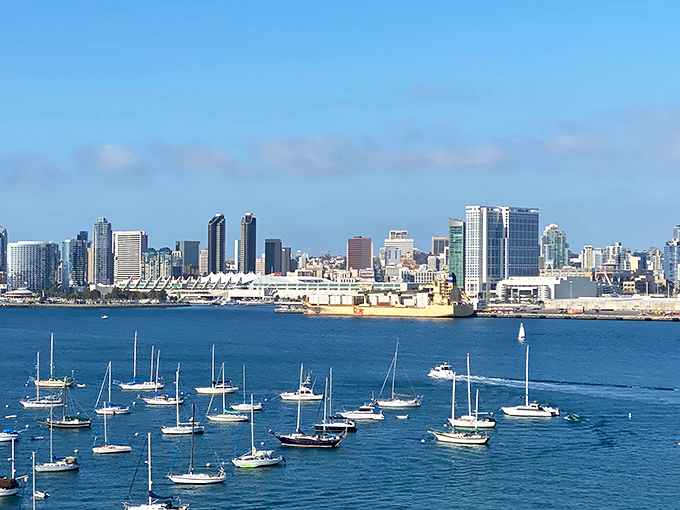 Sparkling harbor waters and downtown views create the ultimate California coastal living experience.