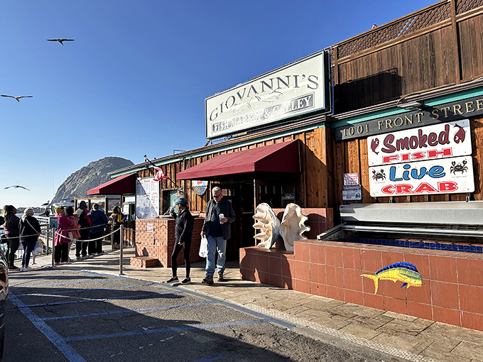 This authentic fishing village gem connects diners directly to Morro Bay's working waterfront and daily catches.