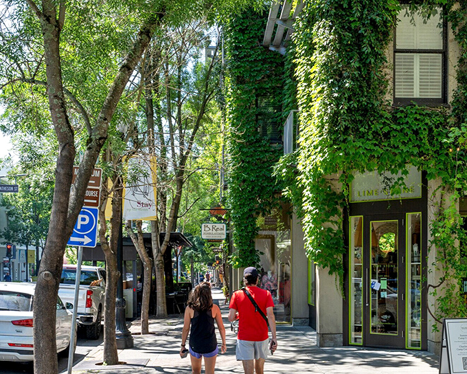Healdsburg's tree-lined plaza creates the perfect setting for afternoon wine tastings.