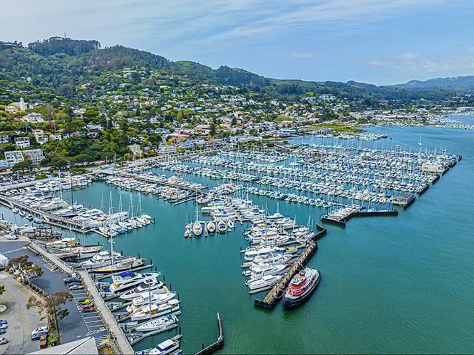 This bayside community offers ferry access to San Francisco while maintaining its own artistic charm and spectacular harbor boat community.