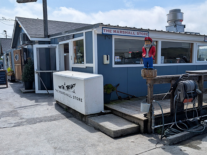 That rustic waterfront charm promises oysters so fresh they practically introduce themselves before you eat them.