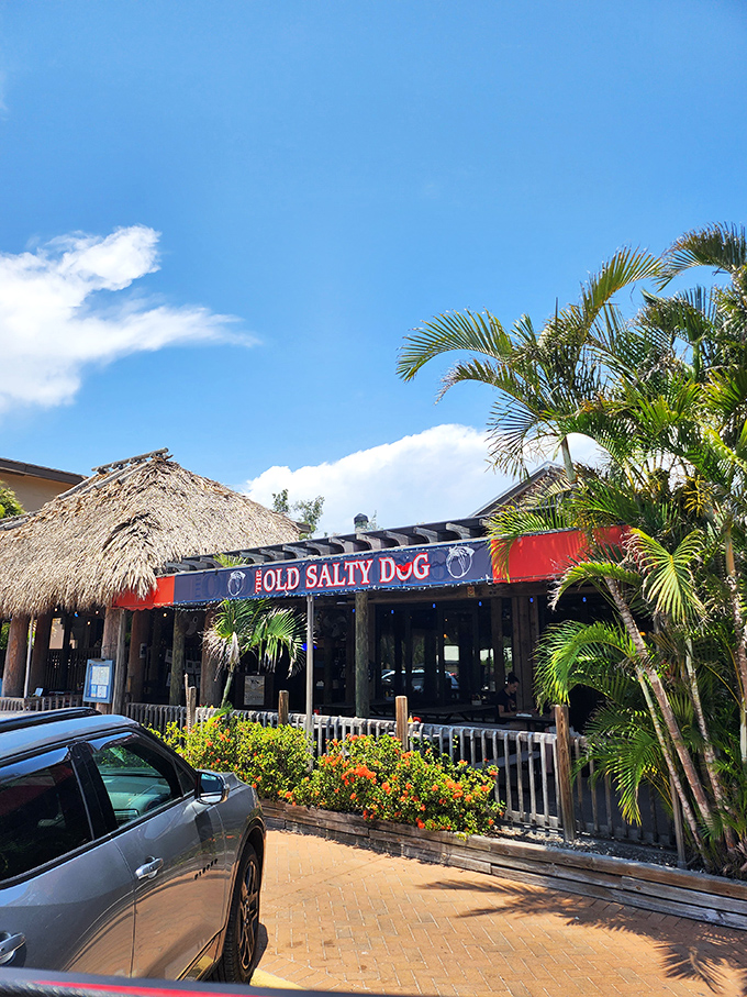 Palm trees and a thatched roof &ndash; The Old Salty Dog nails the "Florida seafood experience" before you even sit down.