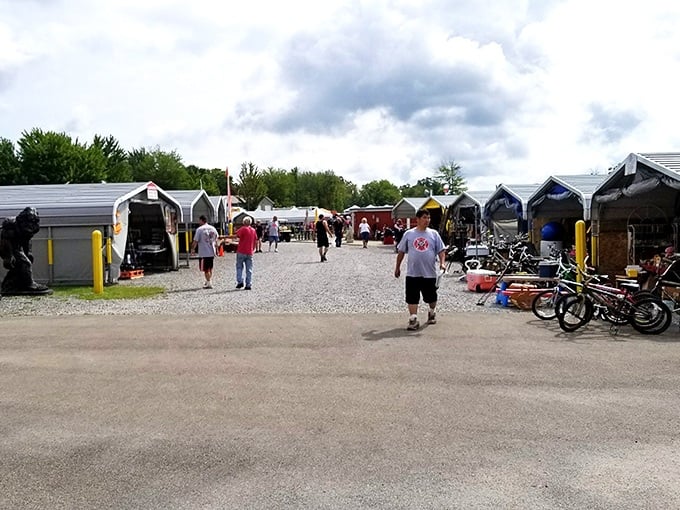 The flea market's permanent stalls create a neighborhood of curiosities where regular vendors build loyal followings of fellow collectors and enthusiasts. 