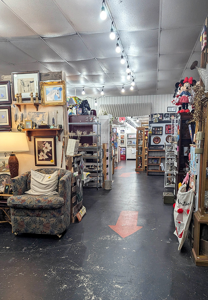 Follow the orange arrows to your next great find. The well-worn paths tell stories of thousands of successful treasure hunts.