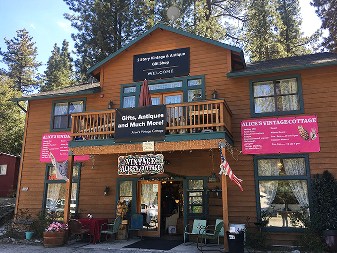 Alice's Vintage Cottage&mdash;where yesterday's treasures become today's "I can't believe I found this!"