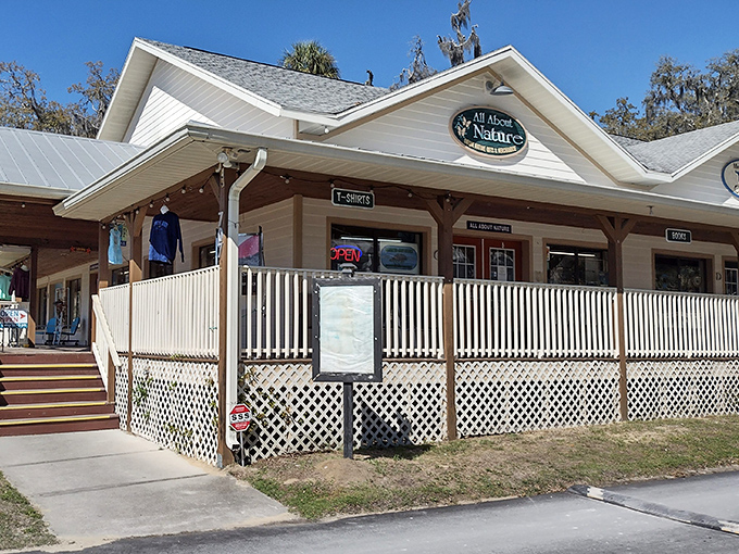 All About Nature gift shop celebrates Florida's wild side – where you can bring home a piece of paradise without disturbing the actual paradise.
