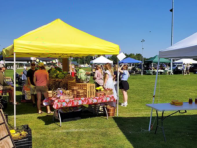 The Alpena Farmers' Market transforms a simple field into a community gathering spot where the produce is as fresh as the gossip.