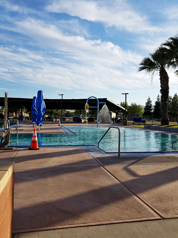 The community pool: where summer memories are made and everyone pretends not to notice when someone does a cannonball too close to the adults.