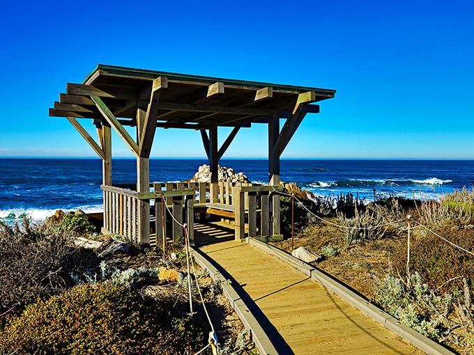 This wooden gazebo at Asilomar State Beach frames the Pacific like Mother Nature's own Instagram filter.
