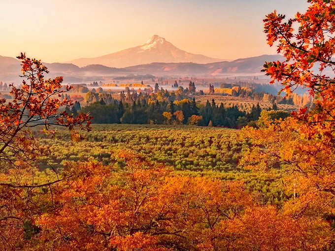 Fall foliage that makes New England nervously check its calendar. Those colors aren't showing off&mdash;they're just living their best life.