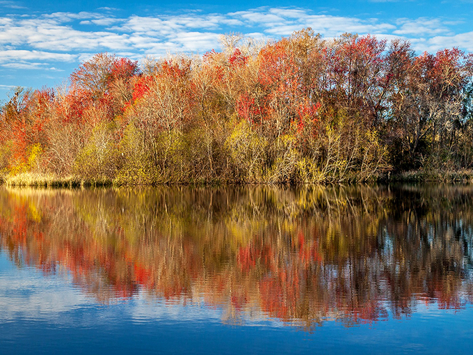 Fall in Florida might be subtle, but these autumn hues reflected in still waters prove Mother Nature doesn't skip the Sunshine State entirely.