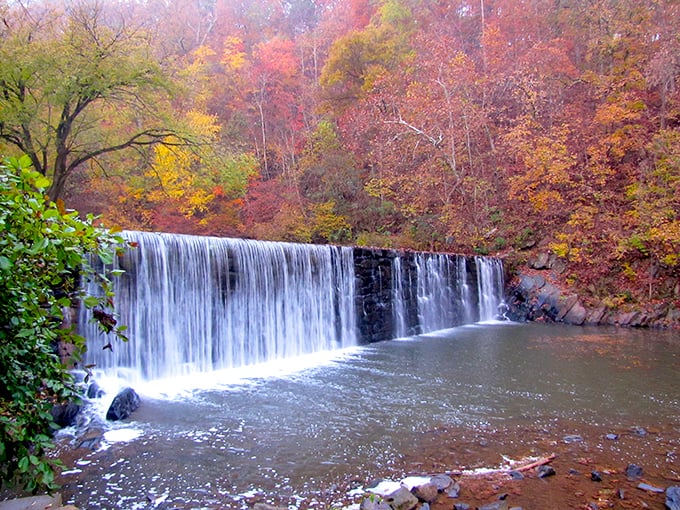 Nature puts on its own show at this waterfall near Lynchburg. The autumn colors frame the cascading water in a scene that no filter could improve.