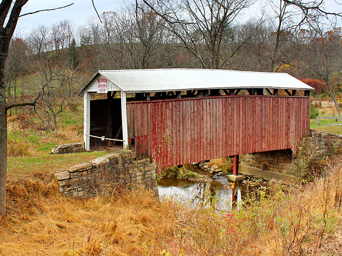 Autumn's golden palette complements the bridge's rustic red siding—nature and human craftsmanship in perfect seasonal harmony.
