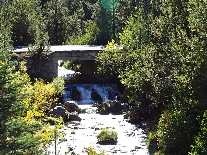 A rustic stone bridge crosses the upper portion of Kings Creek, proving that even national parks appreciate good infrastructure.