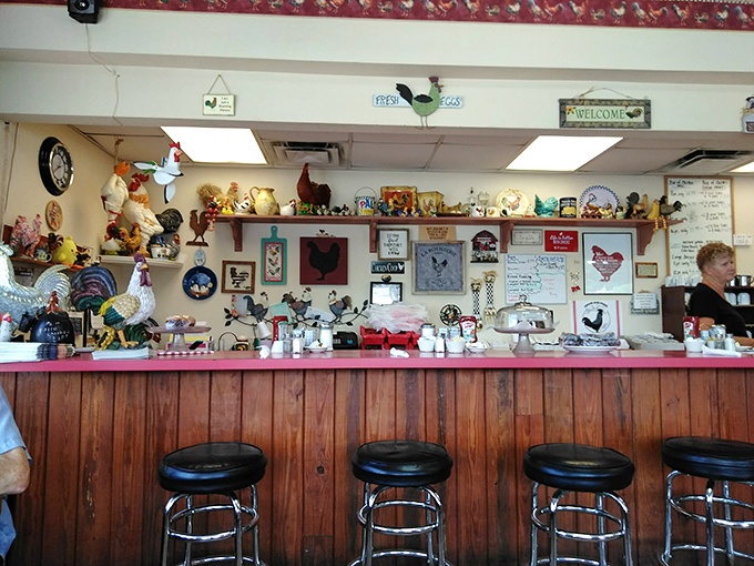The counter area showcases an impressive collection of rooster memorabilia—because when you're the Chicken King, you need a proper royal court.